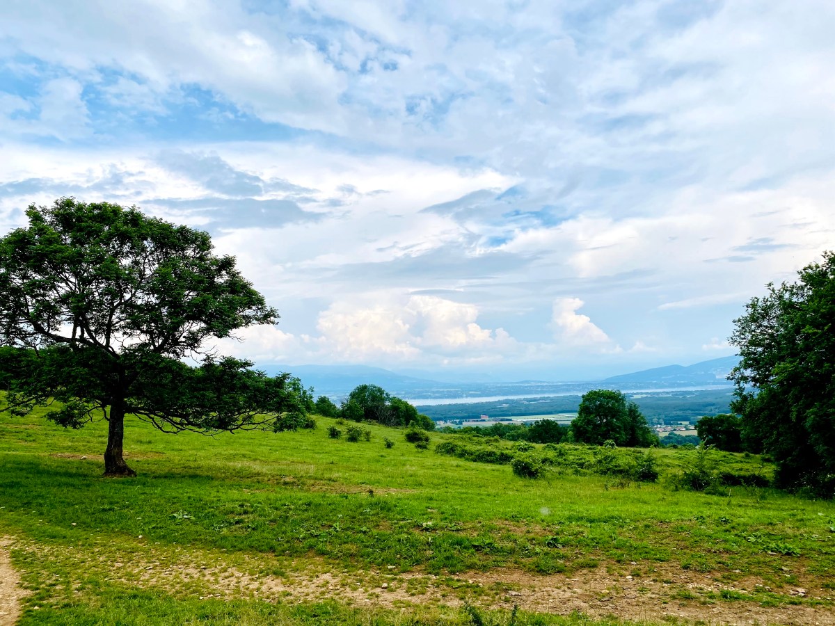 France: Circular walk from Mont Mourex to Mont Mussy | The Activity Factory
